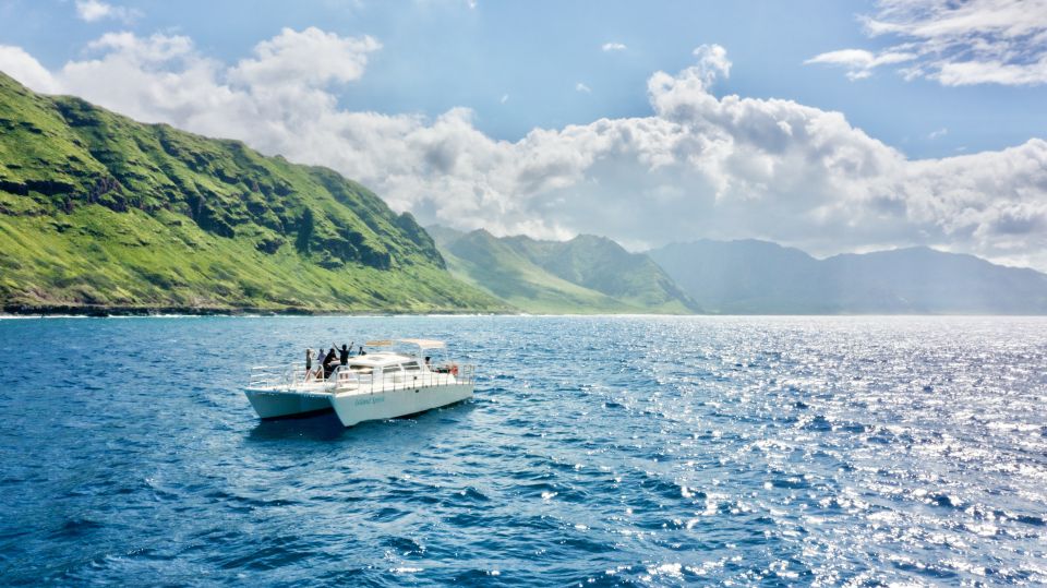 West O'ahu: Swim with Dolphins Catamaran Cruise - Key Points