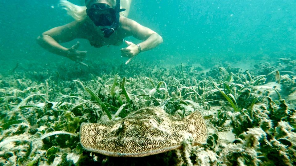West Palm Beach: Beginner Jet Snorkel Tour with Videos - Why You Should Consider This Experience