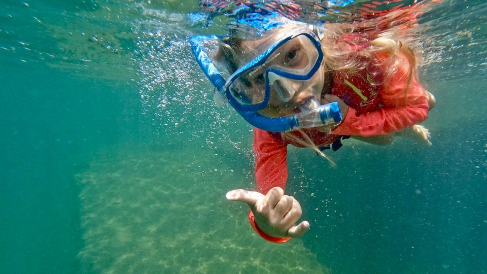 West Palm Beach: Beginner Snorkel Tour with Turtles & Videos - Practical Details: What You Need to Know