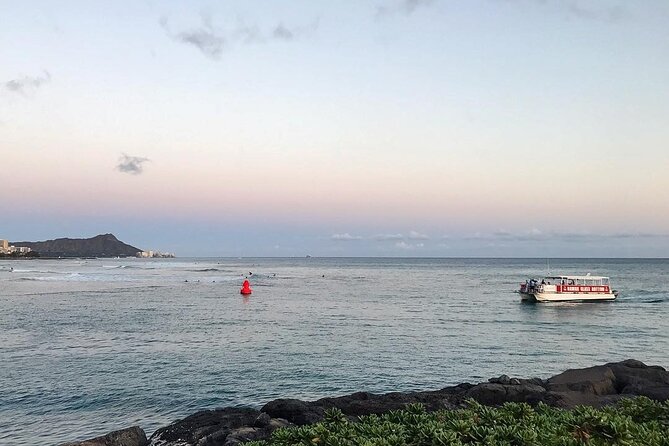 Whale Watch, Dolphins, Turtles and Sightseeing Cruise - Authentic Insights From Past Travelers