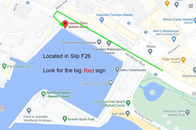 Whale Watch, Dolphins, Turtles and Sightseeing Cruise - The Value of This Experience