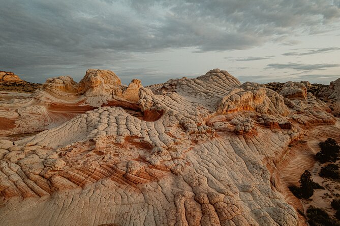 White Pocket Adventure - The Itinerary: A Day of Discovery