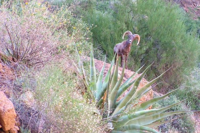 Wilderness Hiking Tours