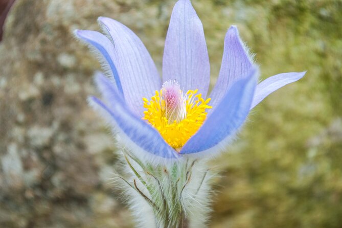 Wildlife Biologists Guide to the Black Hills: Private Tour - Key Points