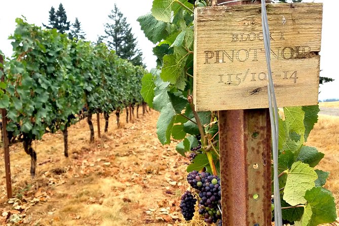 Willamette Valley Wine Tour - Full Day Tour - A Deep Dive into the Willamette Valley Wine Tour Experience