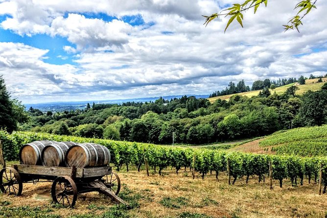 Willamette Valley Wine Tour - Full Day Tour - Who Should Book This Tour?