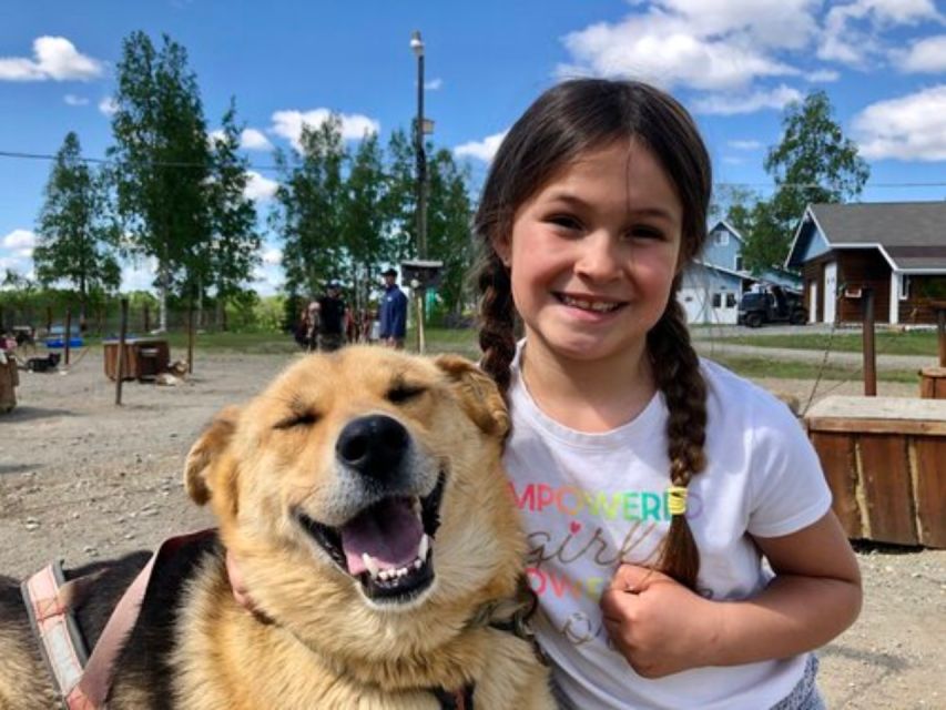 Willow: Summer Dog Sledding Ride in Alaska - Who Will Love This Tour?