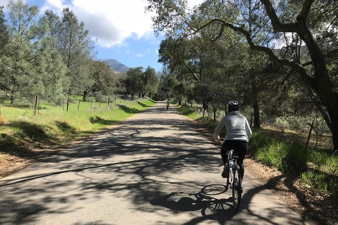 Wine Country Half-Day Bike Tour from Solvang – w/o Lunch