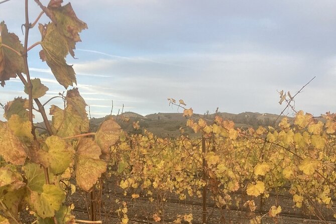 Wine Tours Three - FAQs