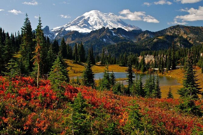 Winter Day Tour to Longmire on Mount Rainier from Seattle - Key Points