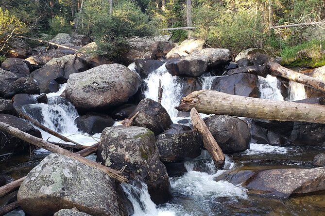 Women's Hike to Ouzel Falls in Rocky Mountain National Park
