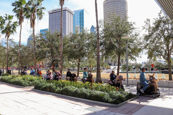 Wyld Things Rydables Tour of Tampa - Who Is This Tour Best Suited For?