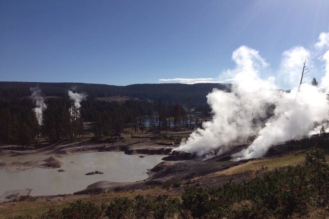 Yellowstone For Kids Family Fun Tour w/PU in West Yellowstone - Hayden Valley