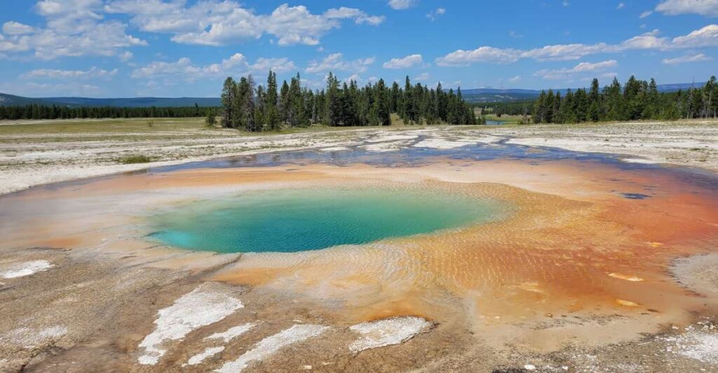 Yellowstone National Park Private Day Tour