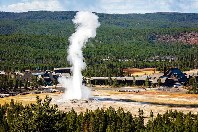 Yellowstone: Private Guided Tour - Why This Tour Offers Great Value