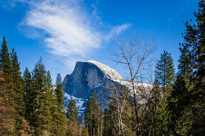 Yosemite Adventure: Full-Day Private Tour from San Francisco - Key Points