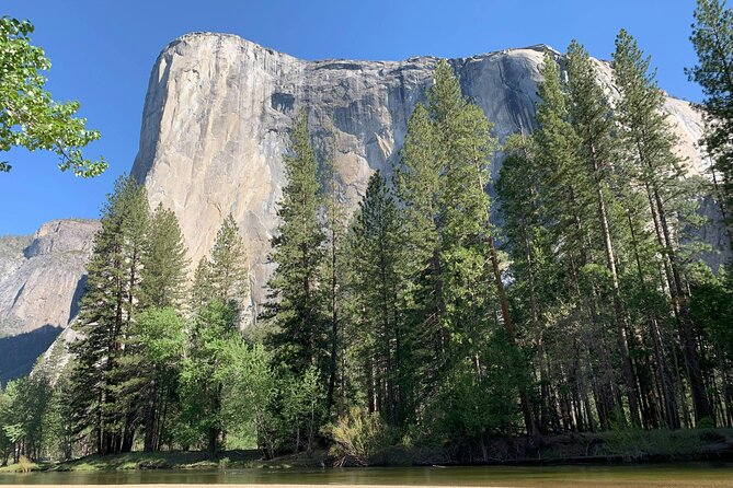 Yosemite Adventure: Full-Day Private Tour from San Francisco - The Sum Up