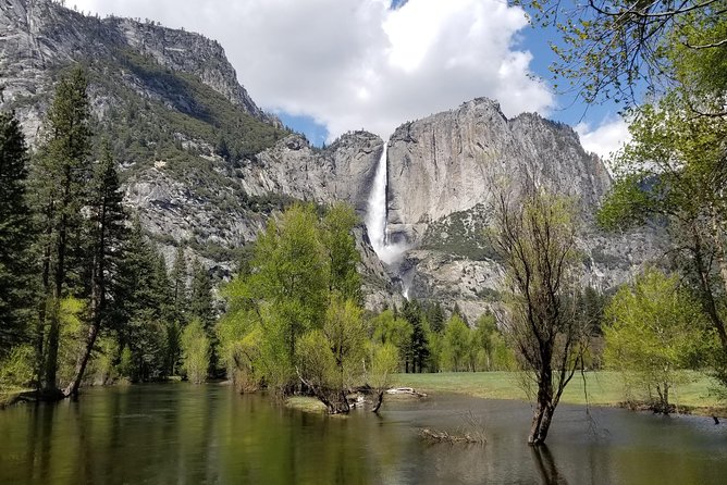 Yosemite Day Tour - The Itinerary Breakdown: What to Expect