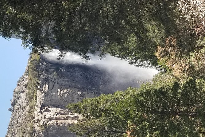 Yosemite Day Tour - Authentic Insights: What Past Travelers Say