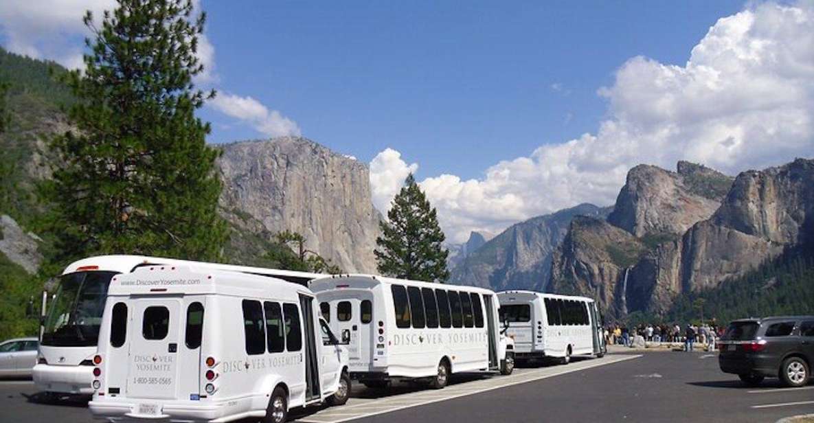 Yosemite: Full-Day Tour with Lunch and Hotel Pick-up - The Quality of Guides and Group Dynamics