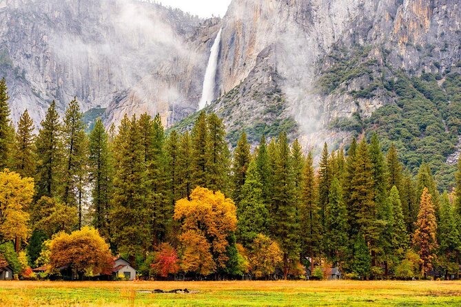 Yosemite Highlights & Giant Sequoias Day Tour from San Francisco - Key Points