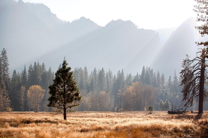 Yosemite Highlights & Giant Sequoias Day Tour from San Francisco - Who Will Love This Tour?