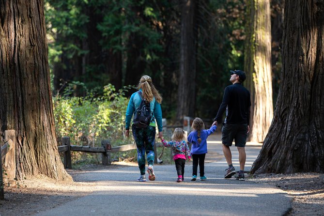 Yosemite Highlights & Giant Sequoias Day Tour from San Francisco - Final Thoughts