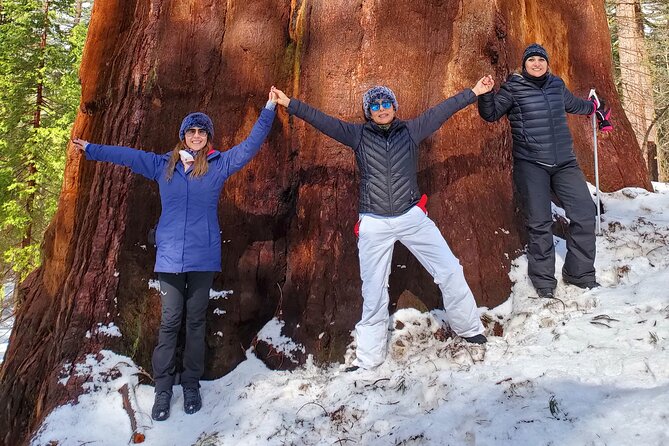 Yosemite National Park Private 1 Day Tour from San Francisco - Whats Included & Whats Not