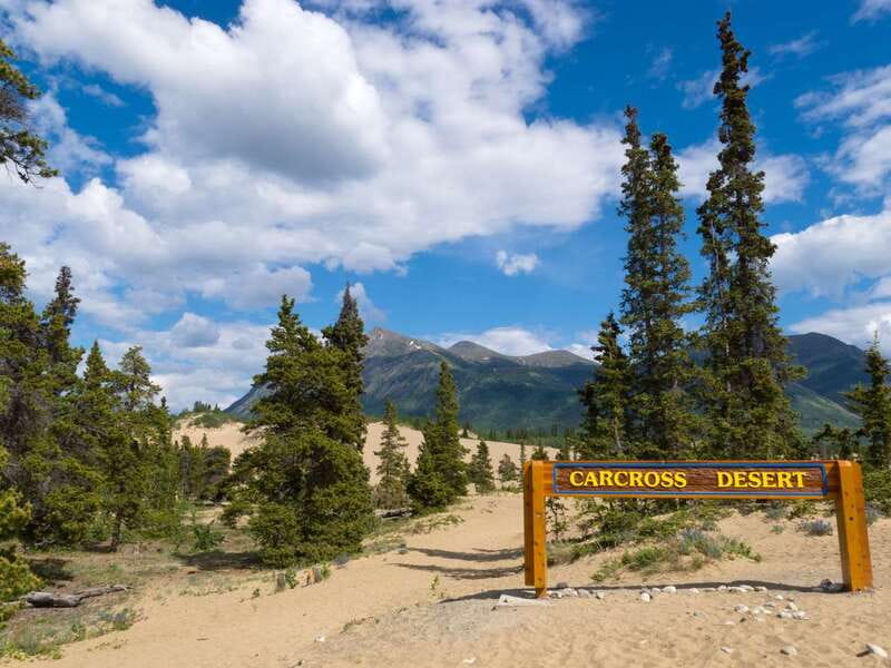 Yukon Escapade: Lakes, Wilderness, and Hidden Gems - Who Should Consider This Tour?