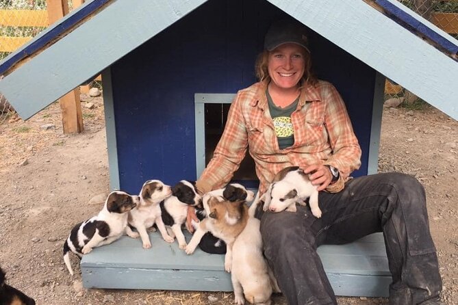 Yukon Husky Puppy Play Time & Summit Tour - Final Thoughts
