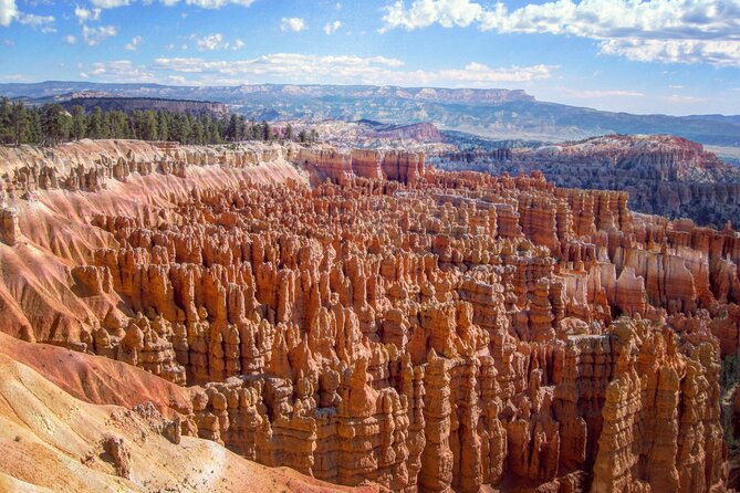 Zion and Bryce Canyon National Park Day Tour from Las Vegas - Why Choose This Tour?