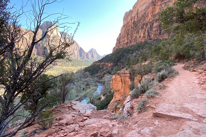 Zion National Park: Private Guided Hike & Picnic - Why This Tour Is Worth Considering