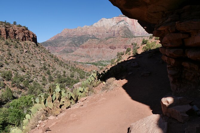 Zion National Park Small Group Tour from Las Vegas - The Value: Is It Worth the Price?