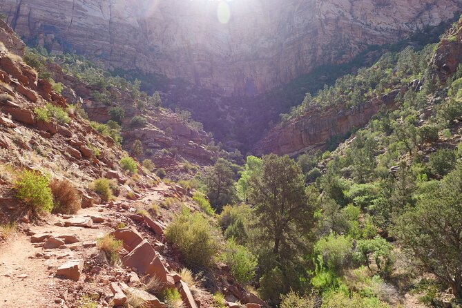 Zion National Park Small Group Tour from Las Vegas - The Guide Experience: Why It Matters