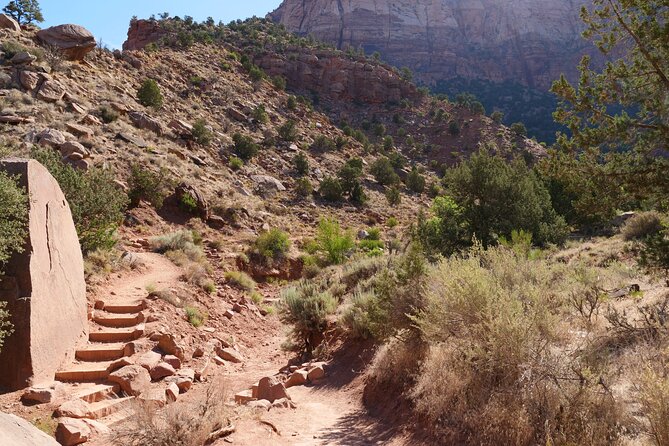 Zion National Park Small Group Tour from Las Vegas - Scenic Highlights: What You Will Love