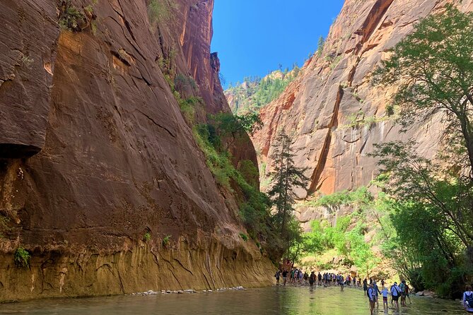 Zion National Park Small Group Tour from Las Vegas - Practical Details & Tips