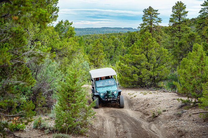 Zion Sunset Jeep Tour - Authentic Experience Insights from Reviewers