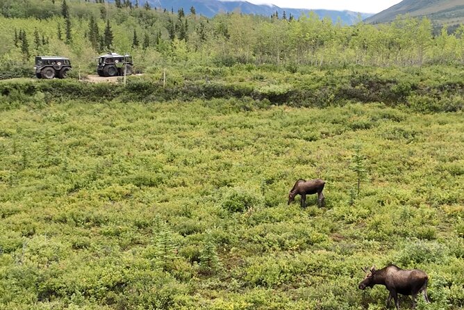 Full Day: Fairbanks to Denali Winter Adventure & SHERP Tour - Final Thoughts