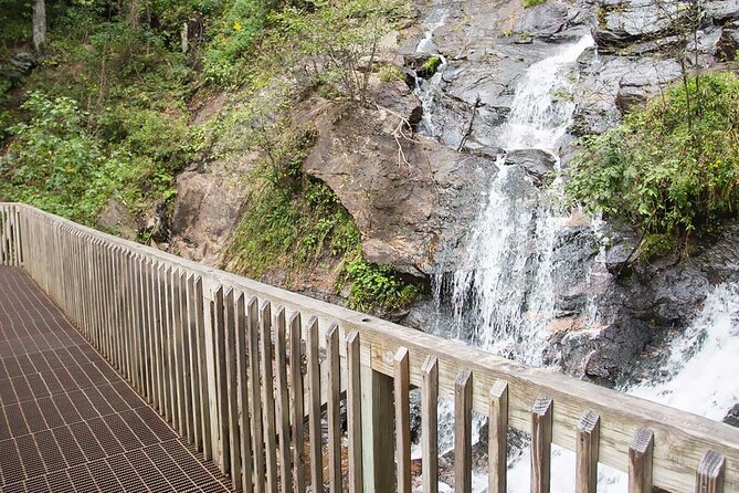 Full Day Tour from Atlanta to Amicalola Falls and Blue Ridge - The Itinerary in Detail