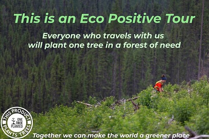 LA: San Francisco, Yosemite, Las Vegas, Antelope, 8-Day Tour - The Itinerary Breakdown: What You Can Expect