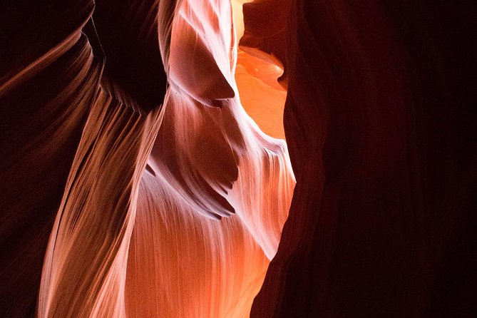 LA: San Francisco, Yosemite, Las Vegas, Antelope, 8-Day Tour - Who Is This Tour Best For?