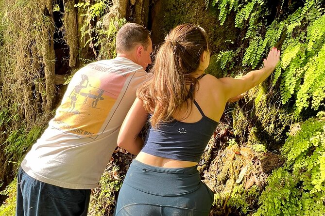 Malibu Waterfall eMTB & Hiking Adventure (Beginner) - FAQ