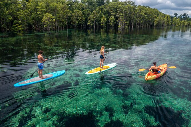 Merritts Mill Pond Eco Adventure - Key Points