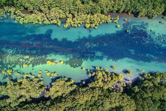 Merritts Mill Pond Eco Adventure - Who Is This Tour Perfect For?