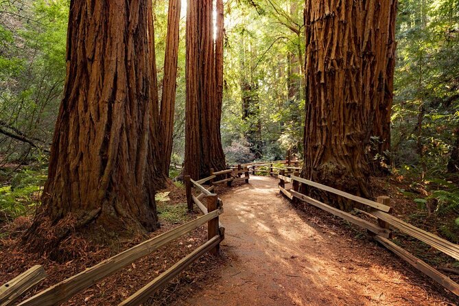 San Francisco to Muir Woods Shuttle - Key Points