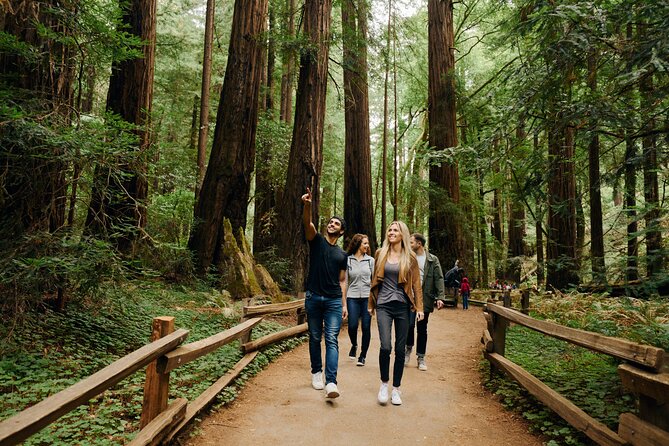 San Francisco to Muir Woods Shuttle - The Itinerary: What to Expect