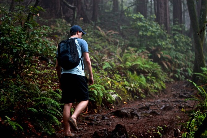 San Francisco to Muir Woods Shuttle - Who Will Love This Tour?