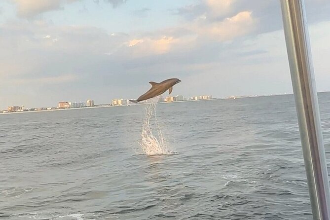 Sandestin Sunset Eco-Dolphin Cruise Aboard Sol y Luna - The Experience in Detail