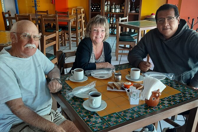 Todos Santos Private Transportation to Airport in Sanjose del Cabo - Who Should Consider This Service?