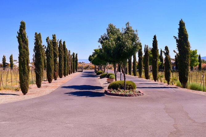 Wine Tasting Tour from Las Vegas with Snacks - Key Points